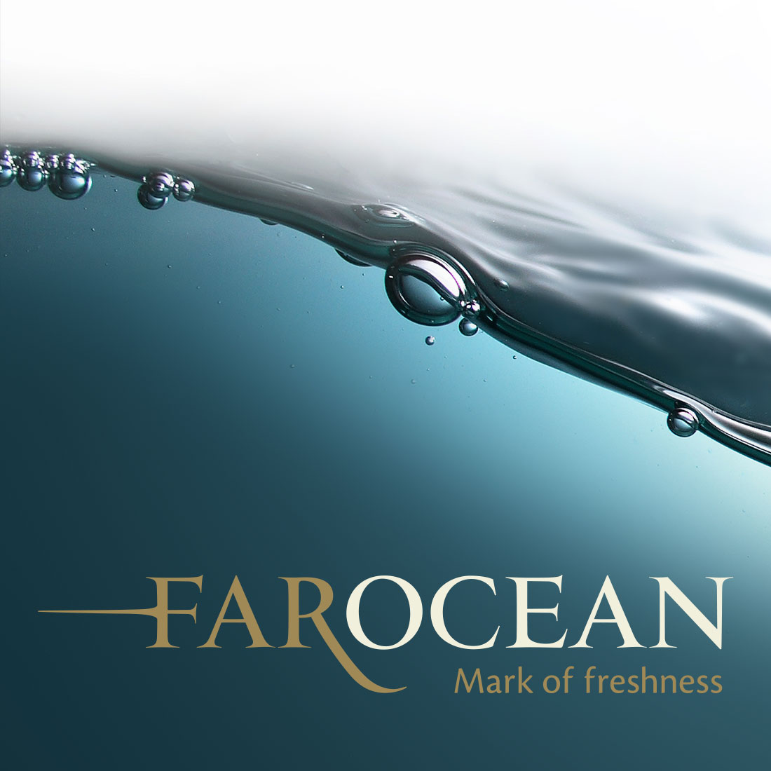 DIA | Far Ocean | Repositioning | Brand Strategy & Design | Premium ...