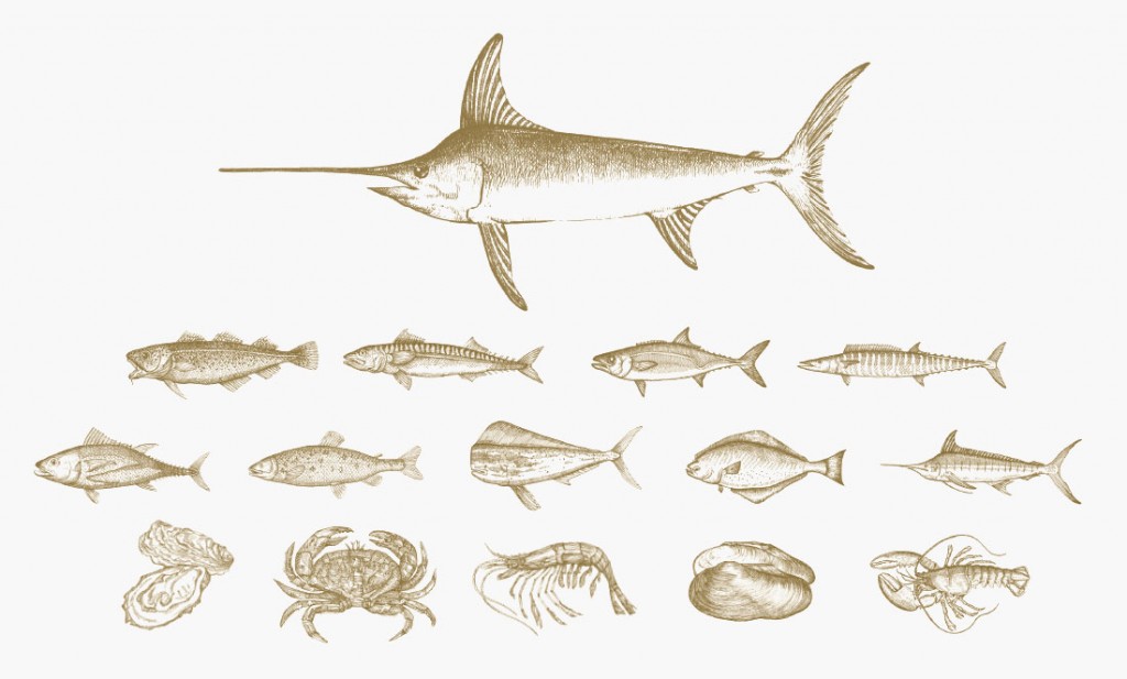 DIA | Far Ocean | Repositioning | Brand Strategy & Design | Premium ...