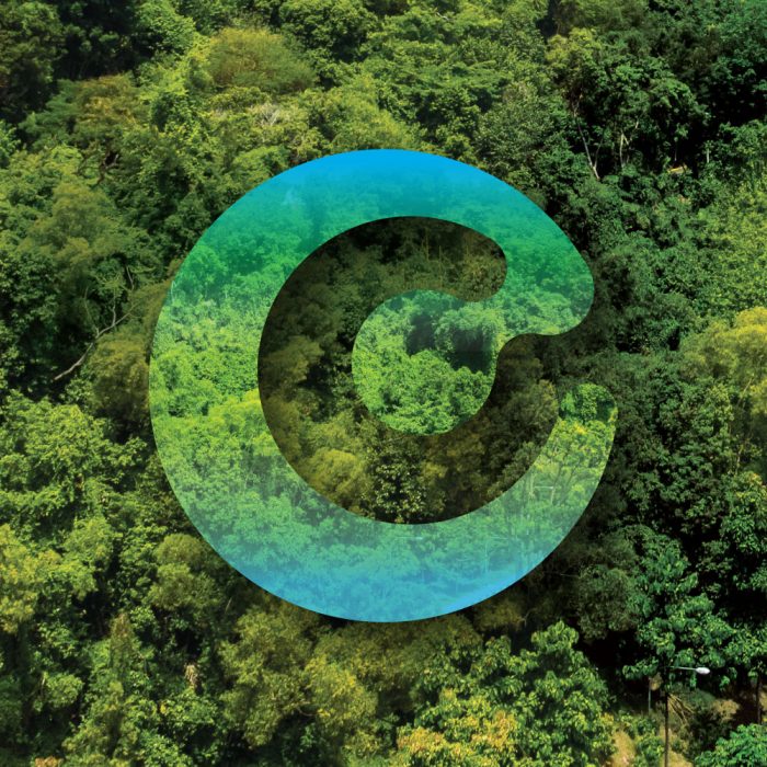 DIA Brand Consultants. Creating Business Advantage with Asia’s Leading ...